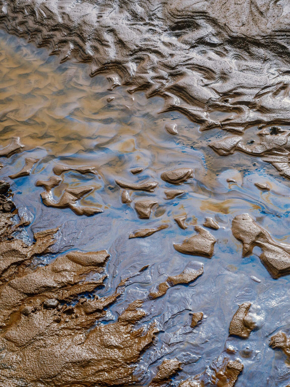 [OPINION] The Colorado River Is Running Dry, but Nobody Wants to Talk ...